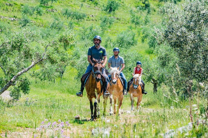 Horseback riding and aperitif 2 hours for beginners - FAQs