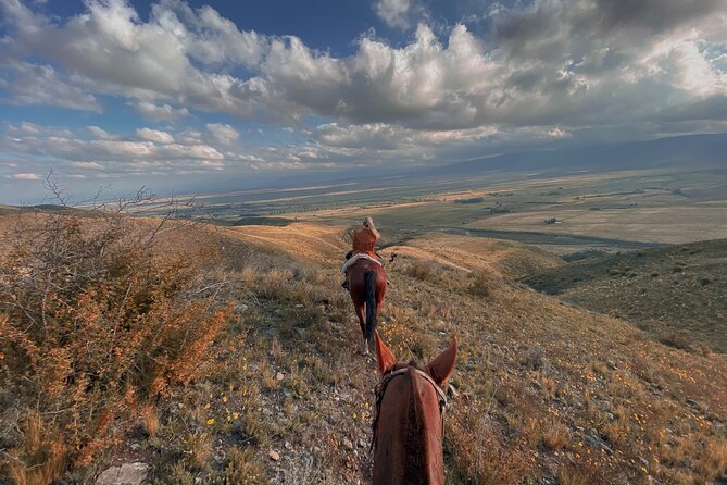 Horseback Riding and Barbecue in a Private Ranch - La Carrera, Mendoza - Private Transportation and Pickup