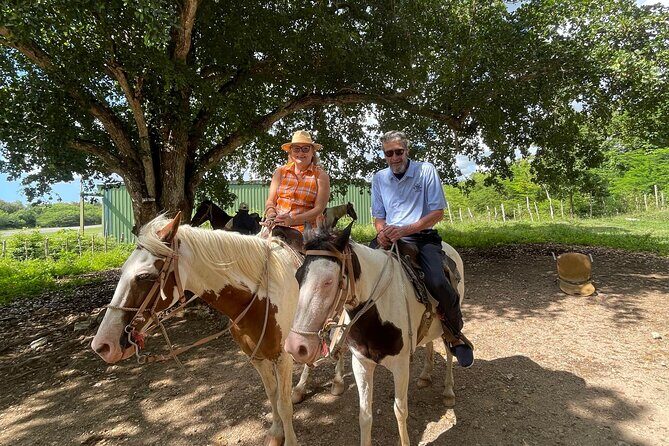 Horseback Riding and Taíno Cave Exploration - Discovering the Beauty of Santo Domingo through Horseback Riding and Taíno Caves