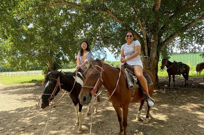 Horseback Riding and Taíno Cave Exploration - The Sum Up
