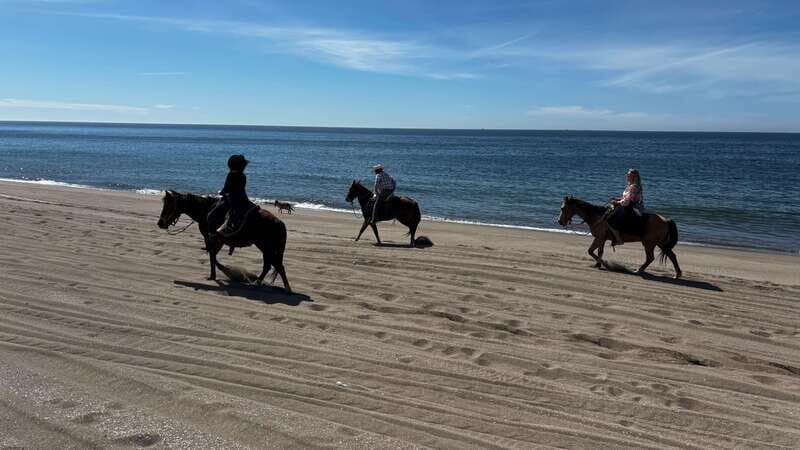 Horseback riding and Temazcal combo with lunch and mezcal - What to Expect from This Tour