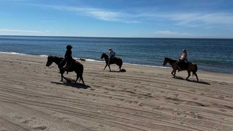 Horseback riding and Temazcal combo with lunch and mezcal - Practical Details & Tips for Travelers