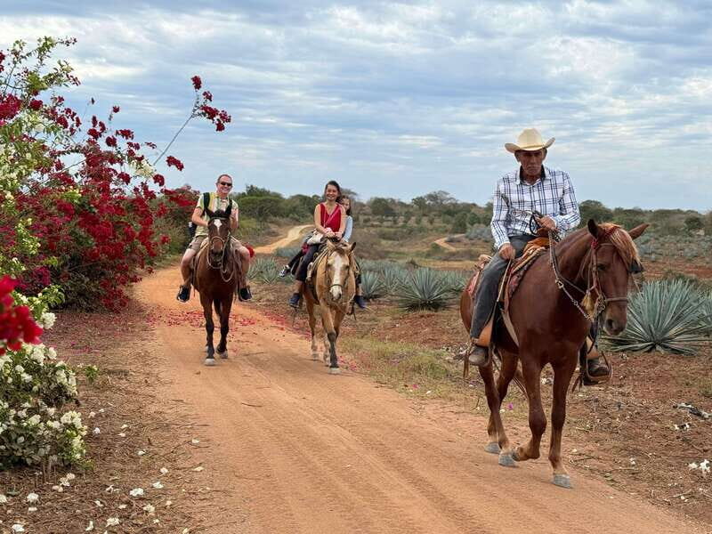 Horseback riding and Temazcal combo with lunch and mezcal - Final Thoughts: Is It Worth It?