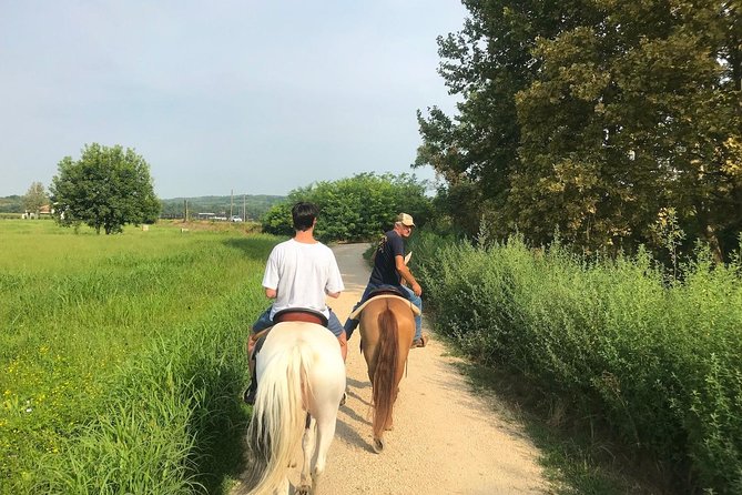 Horseback riding and wine tasting - The Sum Up