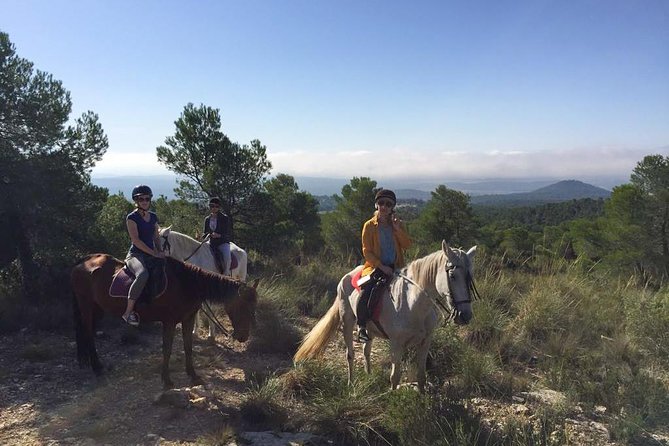 Horseback riding and wine tour (private tour) - Key Points