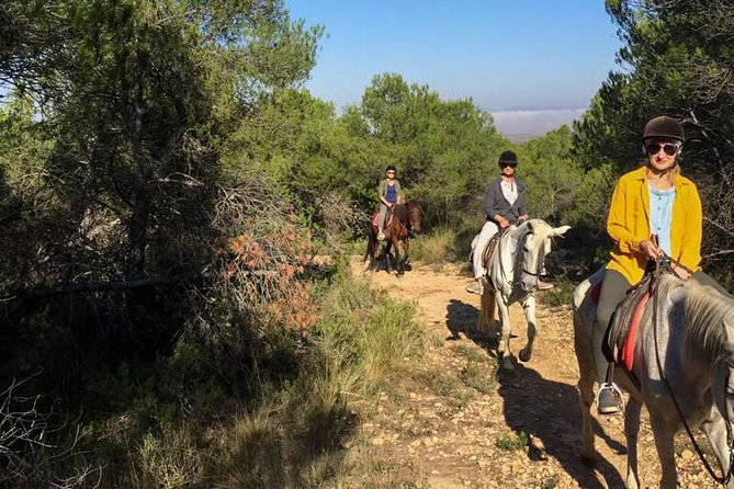 Horseback riding and wine tour (private tour) - Final Thoughts: Who Should Sign Up?