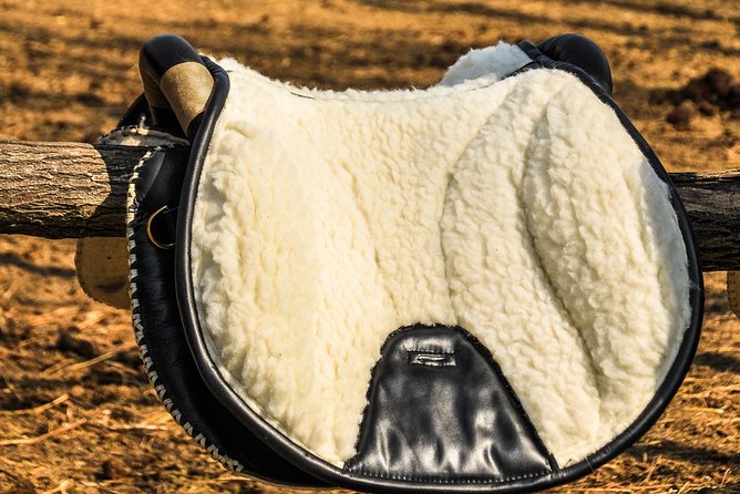 Horseback Riding and yurt stay in the Puszta, 1 hour morning ride - Exploring the Puszta: What to Expect in Detail