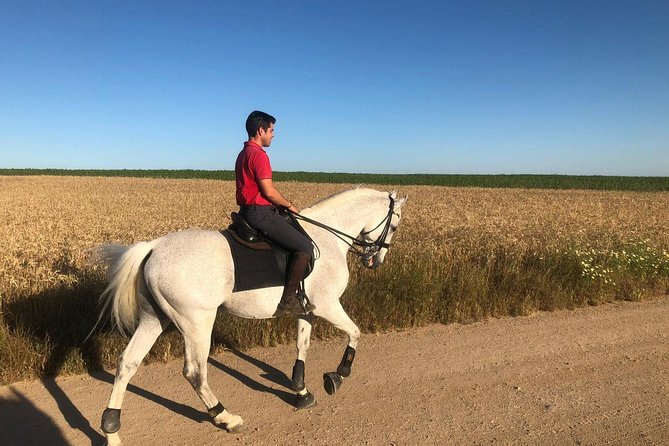 Horseback Riding Around Doñana - Testimonials From Satisfied Guests