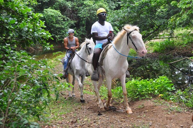 Horseback Riding at Macao Beach - An Overview of the Tour Experience