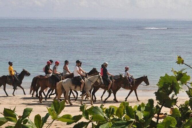 Horseback Riding at Macao Beach - The Logistics & What to Keep in Mind