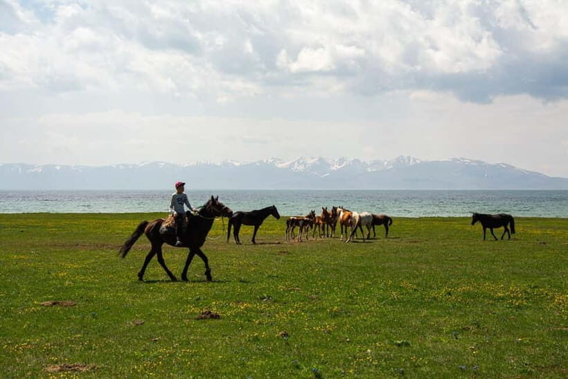 Horseback Riding at Song Kul Lake to Tash-Tulga - Exploring the Experience: What to Expect