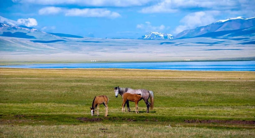 Horseback Riding at Song Kul Lake to Tash-Tulga - What Makes This Tour Stand Out?