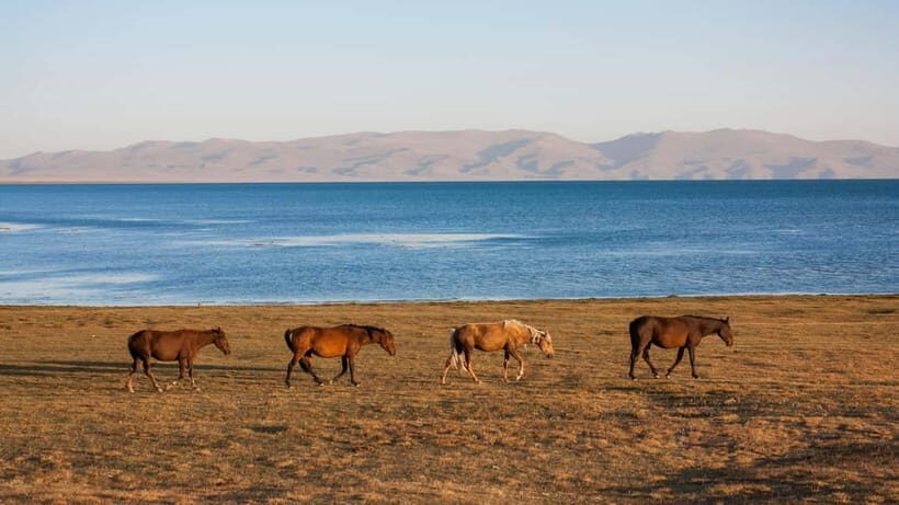 Horseback Riding at Song Kul Lake to Tash-Tulga - FAQs