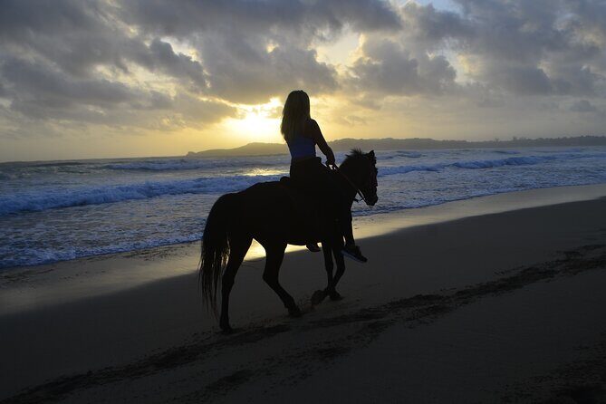 Horseback Riding at Sunrise on the Beach of Punta Cana - Key Points