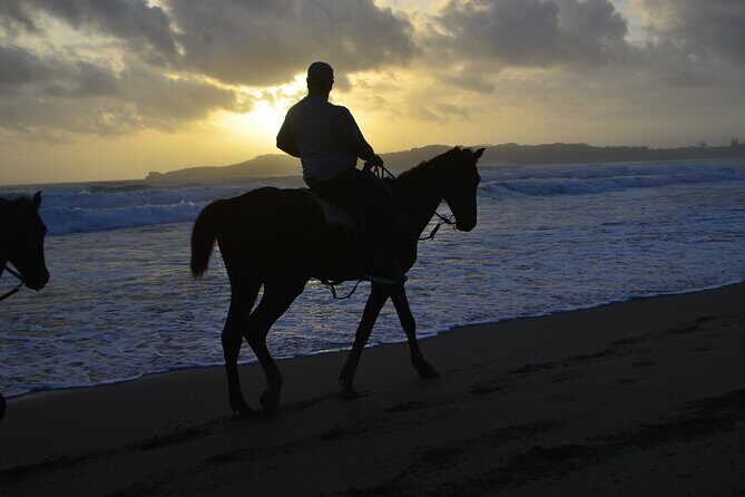 Horseback Riding at Sunrise on the Beach of Punta Cana - FAQ