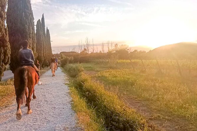 Horseback riding at sunset 1 hour at the Certosa di Pisa - The Sum Up: Is This Horseback Ride Right for You?