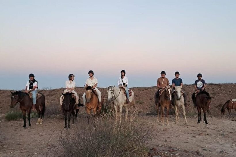 Horseback Riding at Sunset and Dinner in Mendoza - An In-Depth Look at the Experience