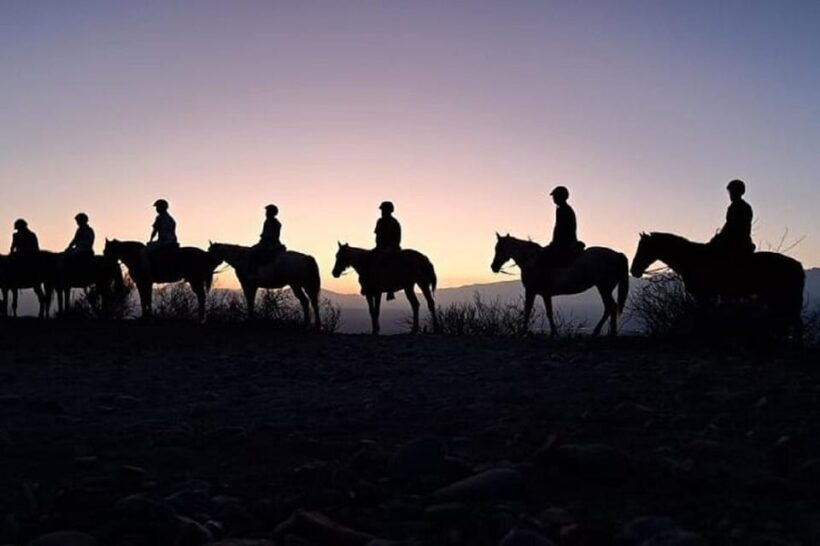 Horseback Riding at Sunset and Dinner in Mendoza - Final Thoughts