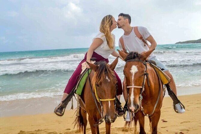 Horseback Riding at the Beach in Punta Cana - Who Should Consider This Tour?