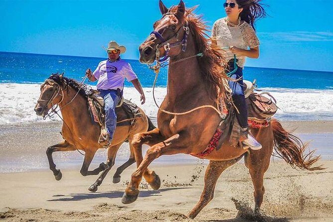 Horseback Riding & ATV Combo! Mountain Trails & Beautiful Beaches of BAJA! - An Introduction to Baja’s Scenic Delights