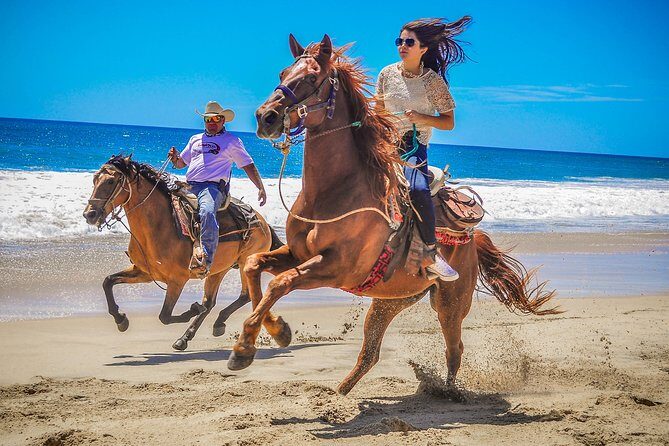 Horseback Riding & ATV Combo! Mountain Trails & Beautiful Beaches of BAJA! - The Sum Up: Who Will Love This Tour?