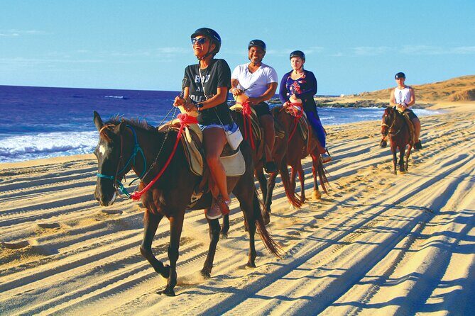 Horseback Riding Beach and Desert Adventure - Who Should Consider This Tour?