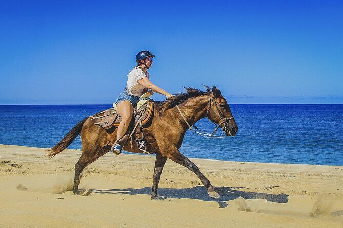 Horseback Riding Beach and Desert in Cabo by Cactus Tours Park - Handling Expectations: What Reviews Reveal