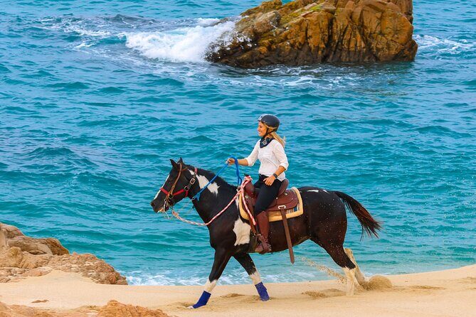 Horseback Riding Beach and Desert in Cabo by Cactus Tours Park - Practical Tips for Participants