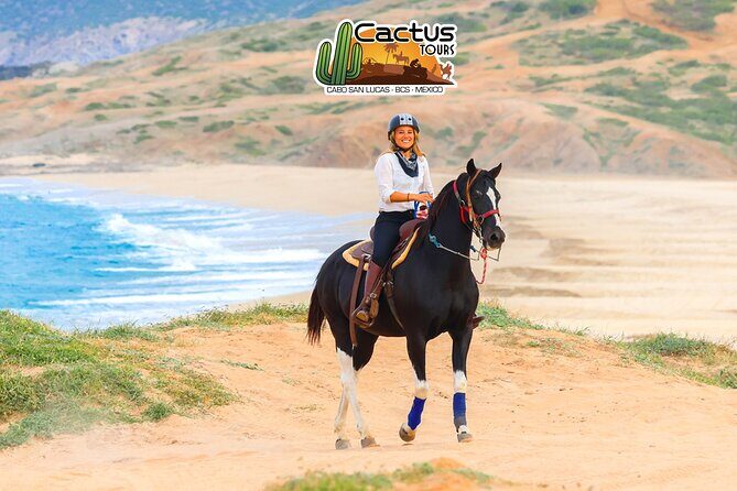 Horseback Riding Beach and Desert in Cabo by Cactus Tours Park - FAQ