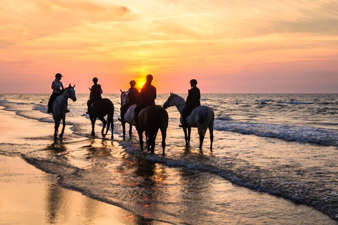 Horseback Riding Beach - Who Should Consider This Tour?