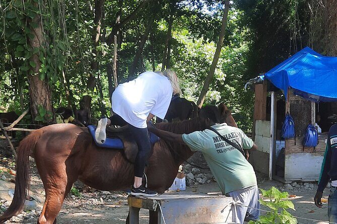 Horseback Riding, Bluehole Secret Falls, Dunns River tour from Montego Bay - Who Is This Tour Best For?