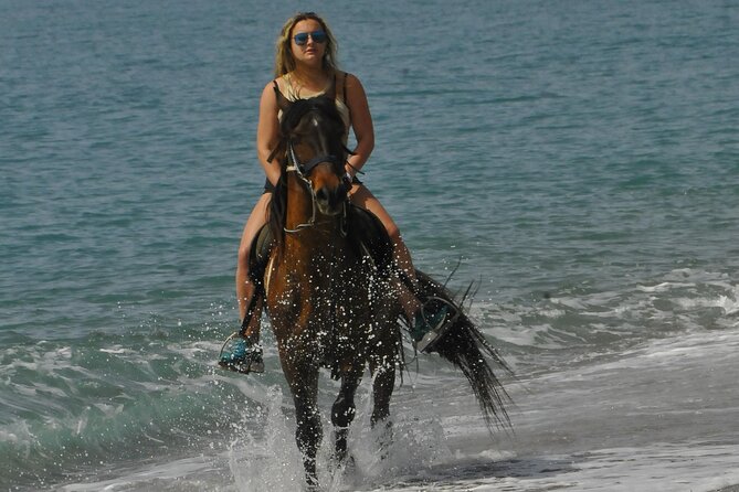 Horseback Riding by Beach or Forest in Manavgat Side - Participant Requirements