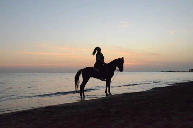 Horseback Riding by Beach or Forest in Manavgat Side - Photography and Souvenirs