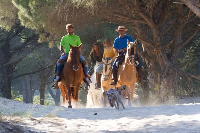 Horseback Riding by the beach or mountain in Tarifa, Spain - 1 to 2 hrs - The Itinerary: What You Can Expect