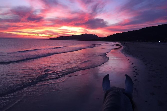 Horseback Riding by the beach or mountain in Tarifa, Spain - 1 to 2 hrs - Who Will Love This Tour?