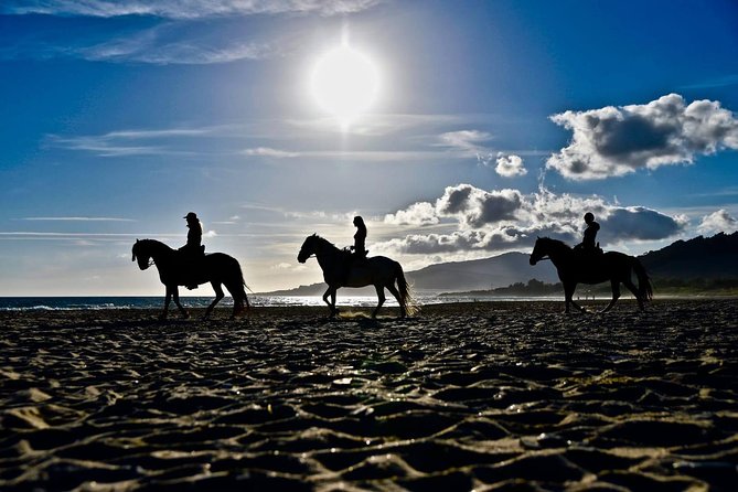 Horseback Riding by the beach or mountain in Tarifa, Spain - 1 to 2 hrs - The Sum Up