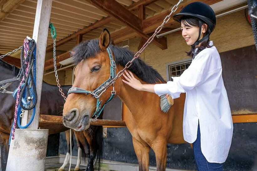 Horseback Riding Club to learn about connecting lives - Introduction: What to Expect from This Horseback Riding Experience