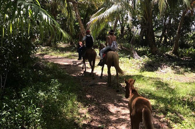 Horseback Riding - Experience between virgin beach and lagoon - Final Thoughts