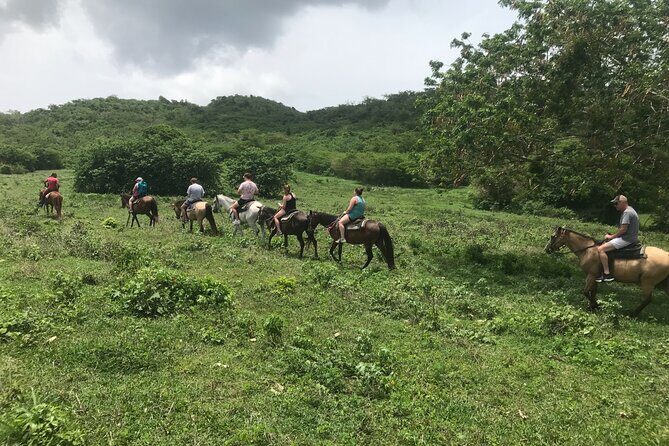 Horseback Riding Experience - Who Will Love This Tour?