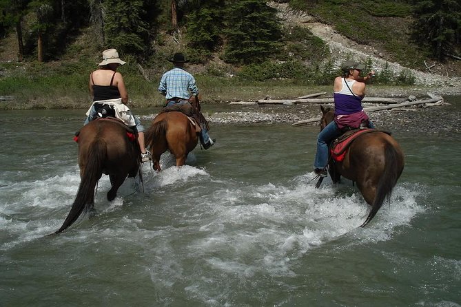 Horseback Riding Experience in Marmaris - Logistics and Inclusions