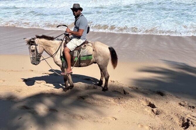 Horseback Riding Experience in Punta Cana - What the Tour Offers and How It’s Structured