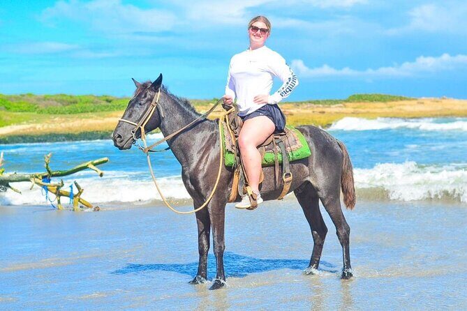 Horseback Riding Experience in Punta Cana - What Travelers Say: Real Experiences and Caveats