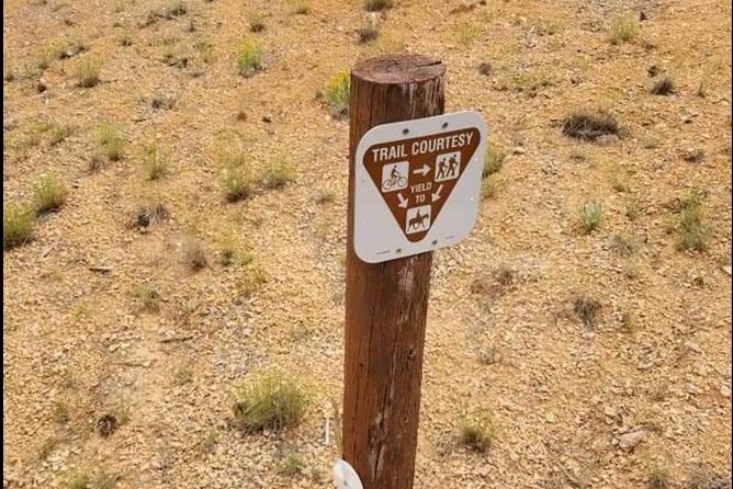 Horseback Riding Experience through Red Canyon with a Guide - Notable Reviews and Tips
