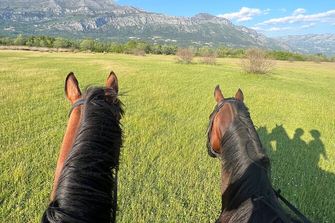 Horseback Riding Experience With Transport From Dubrovnik - Refreshments and Local Hospitality