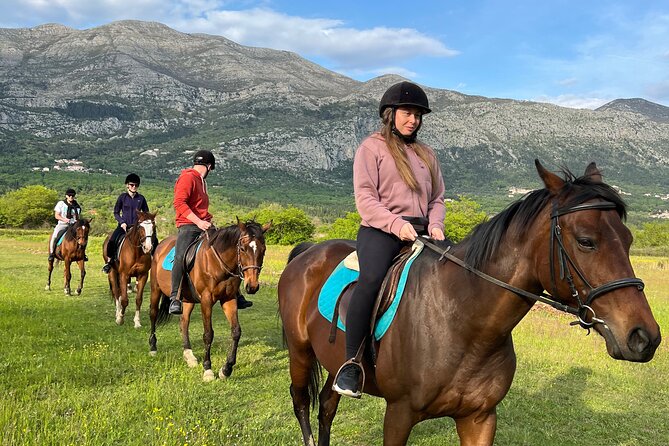 Horseback Riding Experience With Transport From Dubrovnik - Transportation and Pickup Arrangements