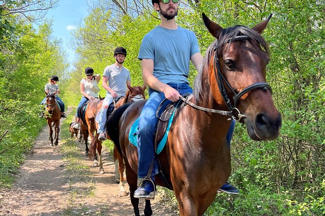 Horseback Riding Experience With Transport From Dubrovnik - Pricing and Lowest Price Guarantee