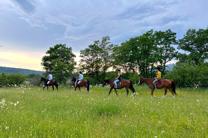 Horseback Riding Experience With Transport From Dubrovnik - Reputation and Credentials of the Provider