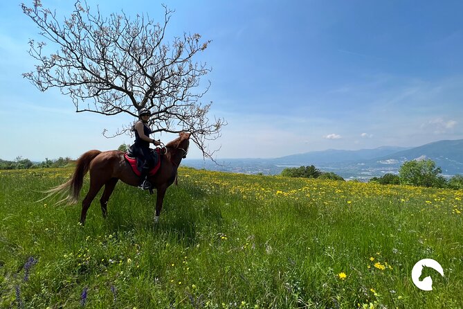 Horseback riding for experts between the lake and the mountains - Guides and Atmosphere