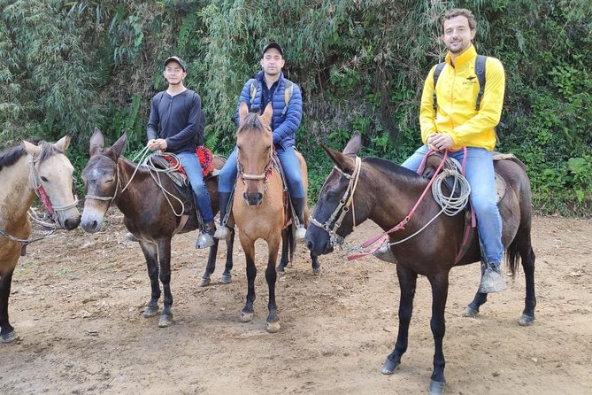 Horseback Riding From Guadalupe to Monserrate Private Day-Tour - Logistics and Inclusions