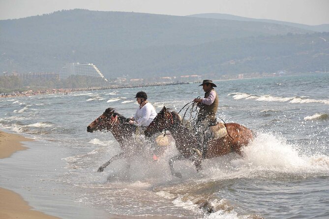 Horseback Riding From Kusadasi Port For Cruise Guests - Key Points